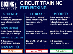 Boxing Strength and Conditioning Circuit - Boxing Science