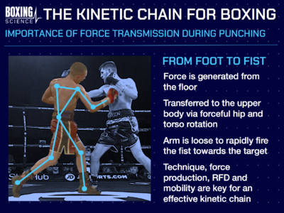 Punch Force - The Science Behind The Punch