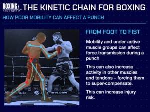 Punch Force - The Science Behind The Punch
