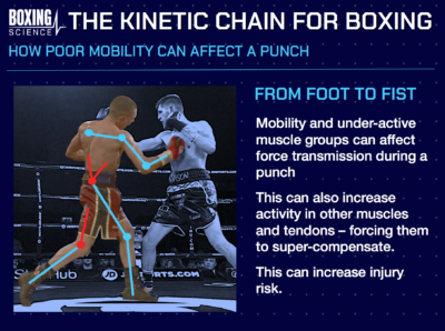 Punch Force - The Science Behind The Punch