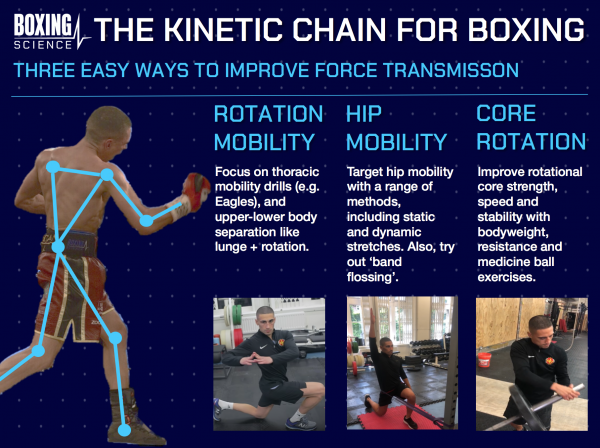 Punch Force - The Science Behind The Punch