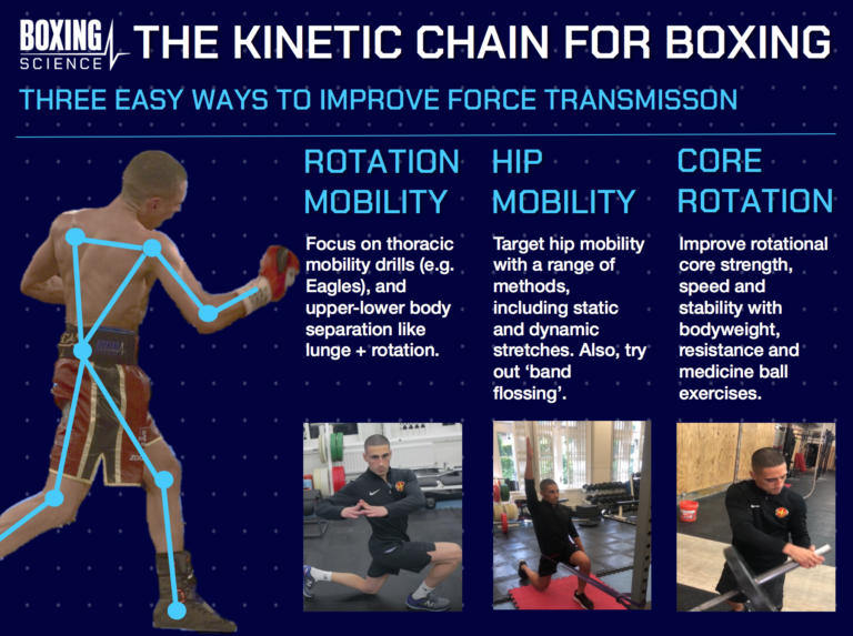 Punch Force - The Science Behind The Punch