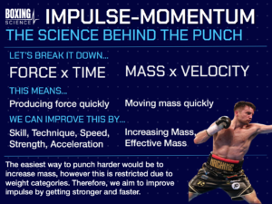 Punch Force - The Science Behind The Punch