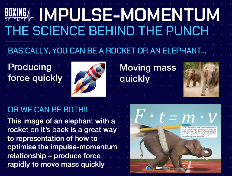 Punch Force - The Science Behind The Punch