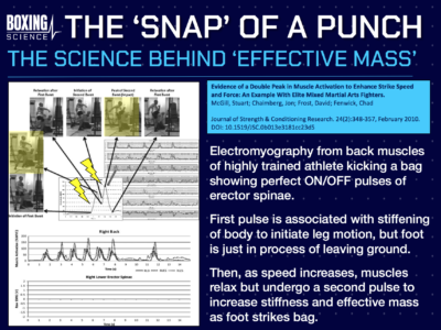 Punch Force - The Science Behind The Punch