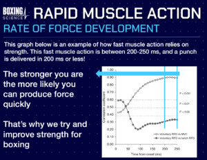 Punch Force - The Science Behind The Punch