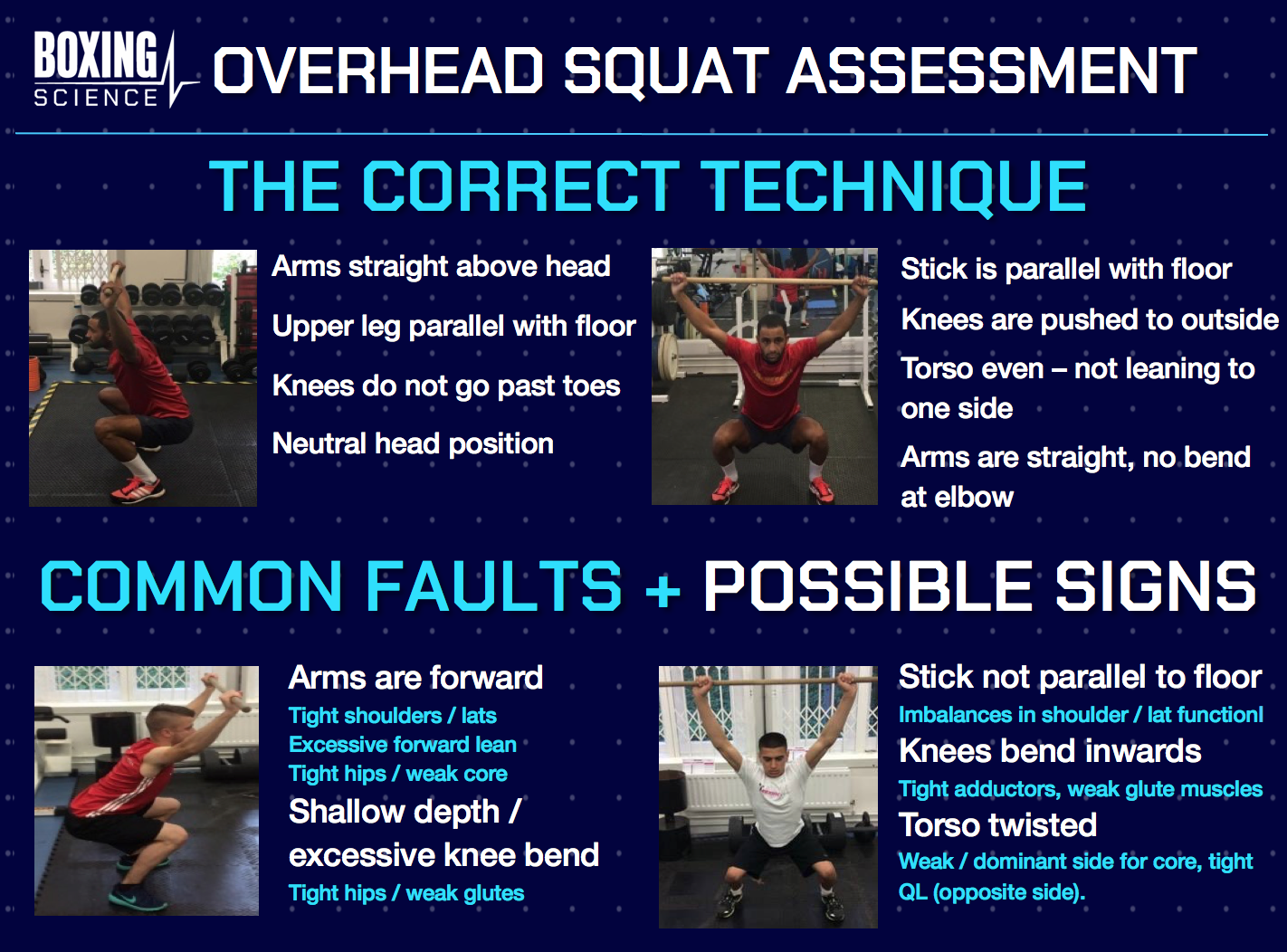 Mobility Training For Boxing And Combat Sports - Boxing Science