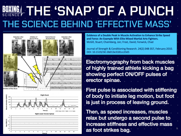 How To Improve Punching Power - Boxing Science