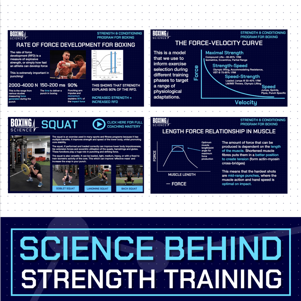 10-Week Strength And Conditioning Program - Boxing Science