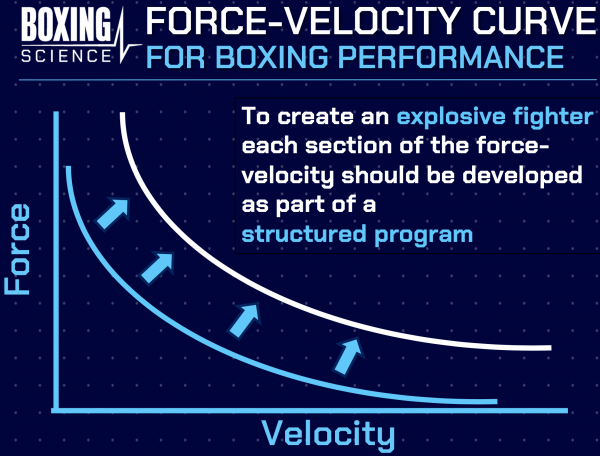 POWER FOR BOXING: POWER CIRCUITS & PLYOMETRICS - Boxing Science