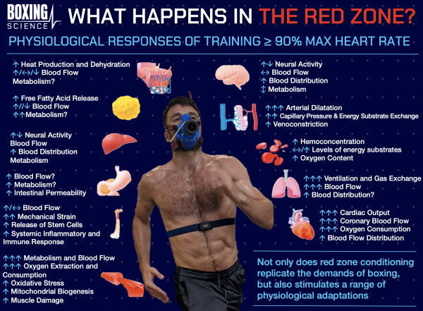 CONDITIONING FOR BOXING: THE BOXING SCIENCE METHOD - Boxing Science