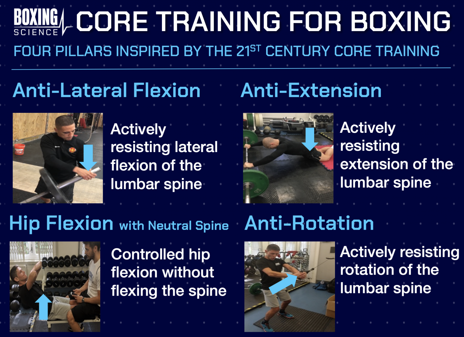 ANATOMY FOR BOXING: THE OBLIQUES - Boxing Science