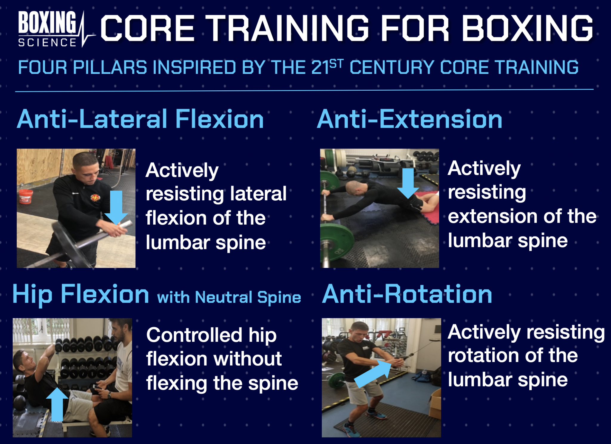 ANATOMY FOR BOXING: THE OBLIQUES - Boxing Science