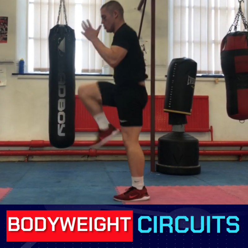 Red Zone Circuits - Boxing Science