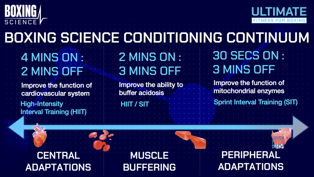 Ultimate Fitness for Boxing - Boxing Science