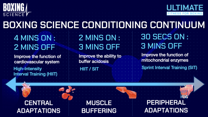Ultimate Fitness for Boxing - Boxing Science