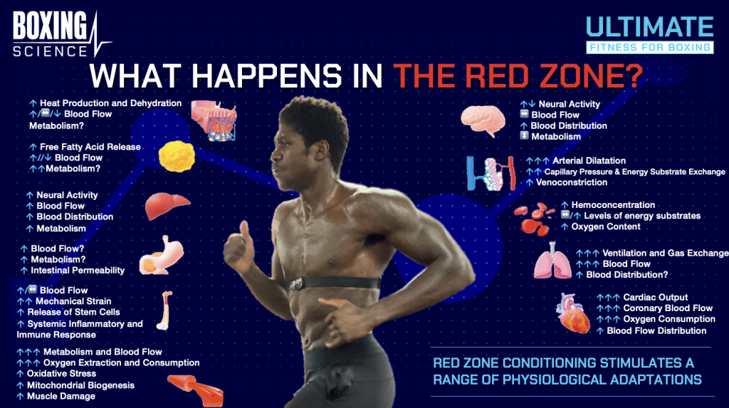 Ultimate Fitness for Boxing - Boxing Science