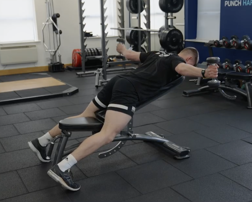 DB Prone Reverse Flies - Boxing Science