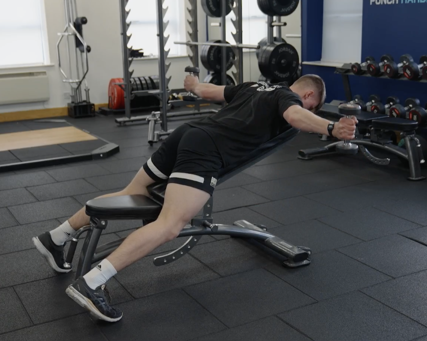 Prone Reverse Flies - Boxing Science