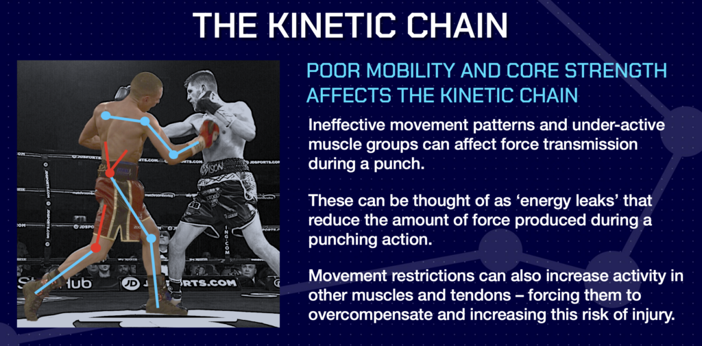 BOXING SCIENCE WARM-UP POSTER - Boxing Science