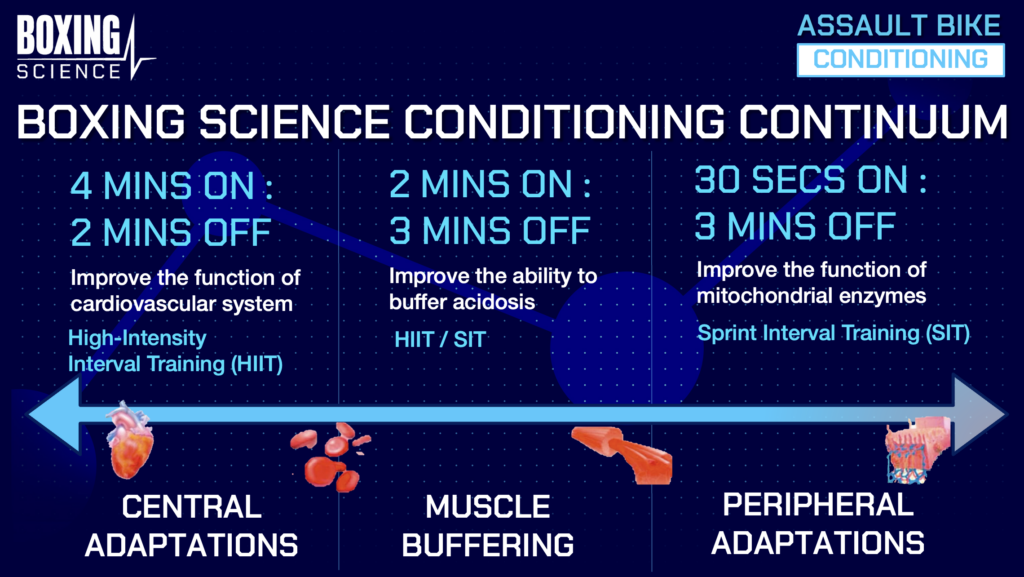 Assault Bike Conditioning for Boxing and Combat Sports - Boxing Science