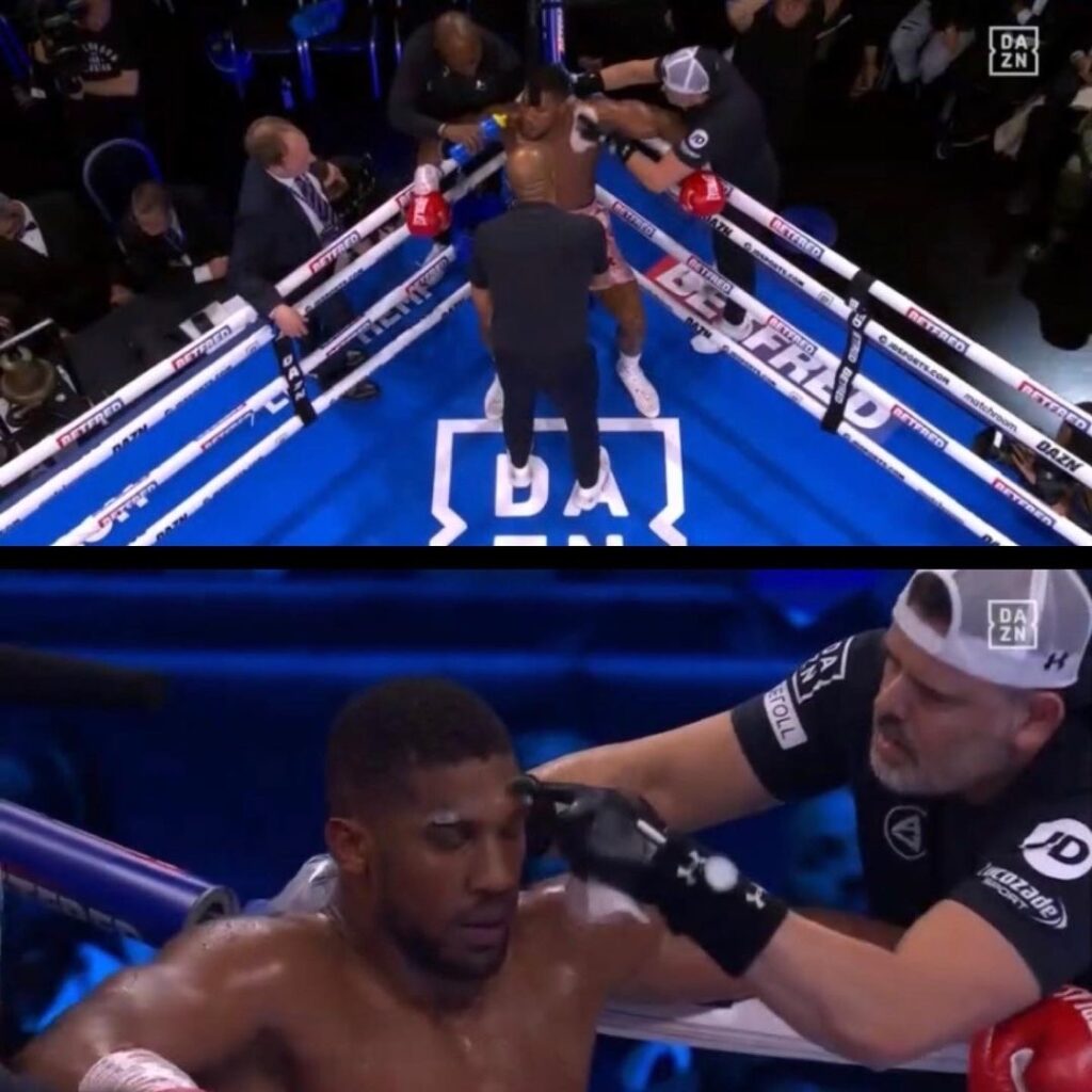 Cuts and Wraps for Boxing Course by Dr. Ian Gatt - Boxing Science